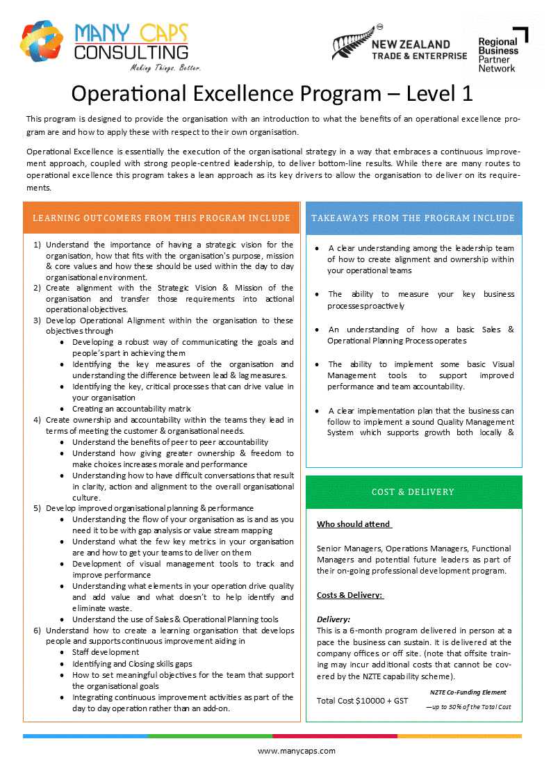 Operational Excellence Program - Level 1 - Blog